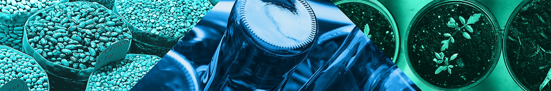 Home - Circularity Live