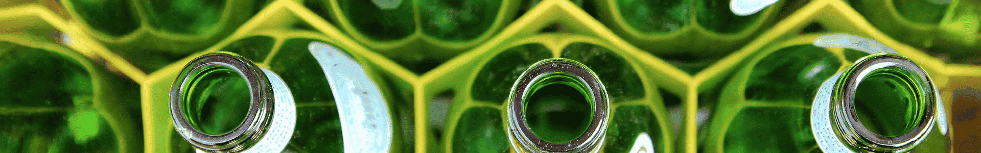 Home - Circularity Live